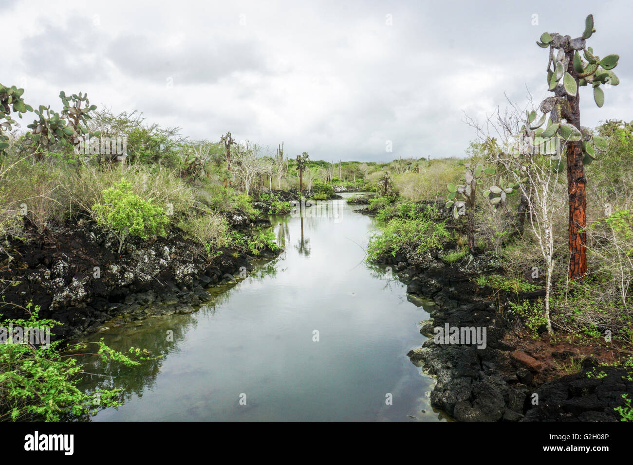 Galapagos landscape hi-res stock photography and images - Alamy