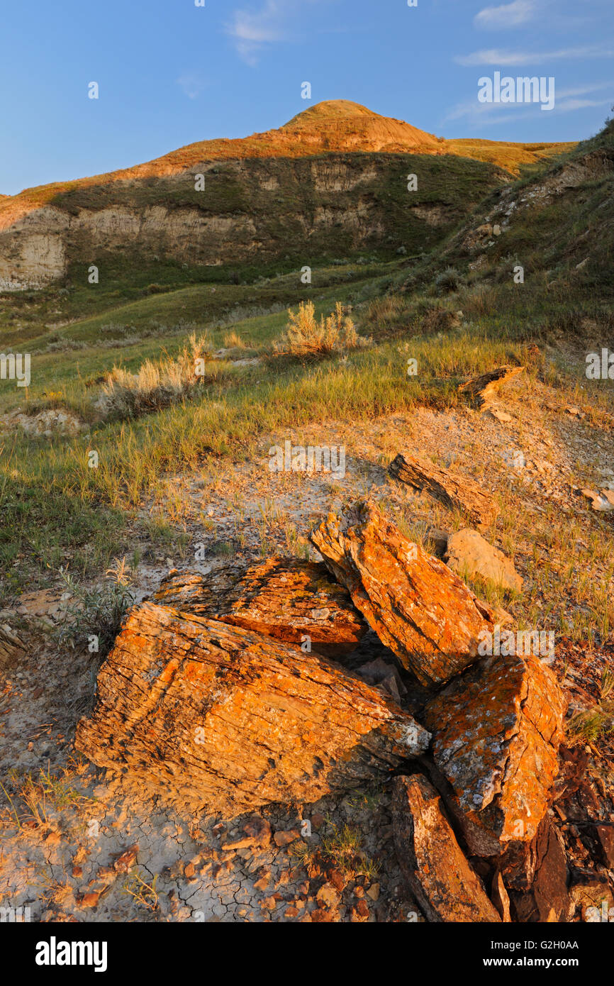 Red Deer badlands at sunset Jenner Alberta Canada Stock Photo - Alamy
