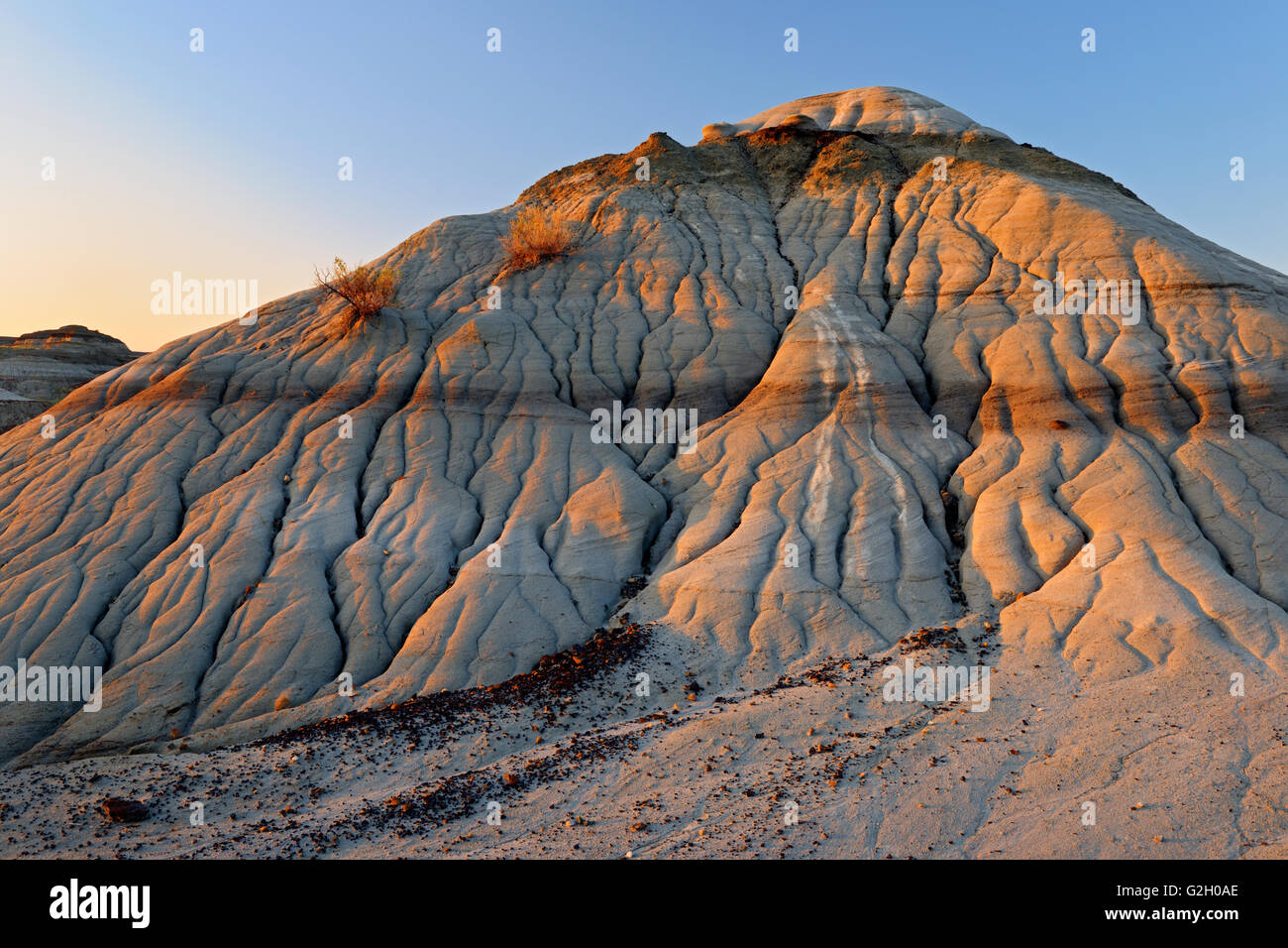 Badland formations at sunrise Dinosaur Provincial Park Alberta Canada ...