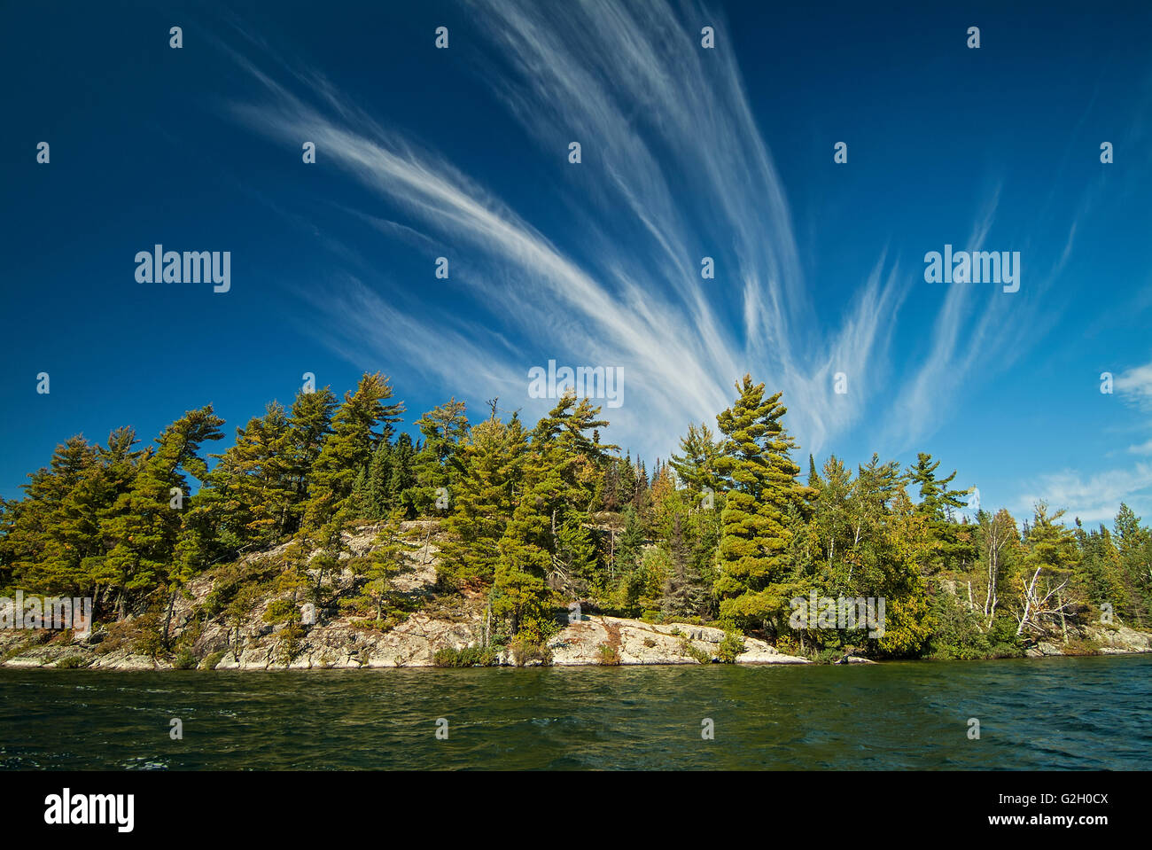 White pine trees (Pinus storbi) and mare's tail clouds on Crow (Kakagi ...