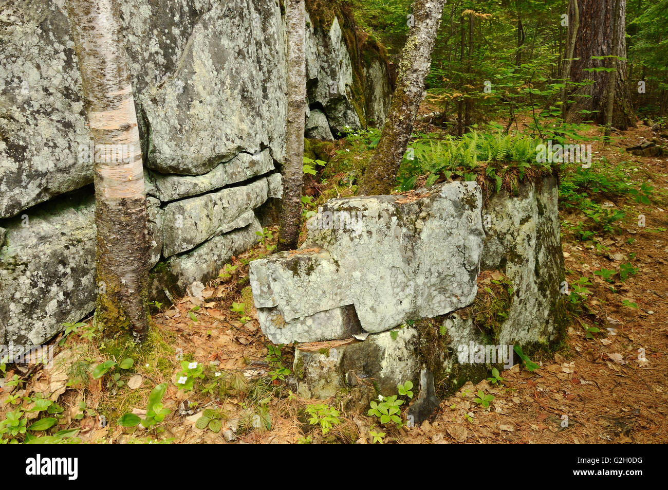 Temagami hi-res stock photography and images - Alamy
