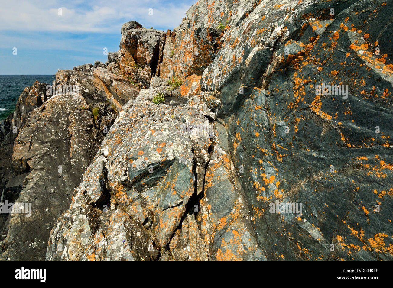 Lichens on the rocks hi-res stock photography and images - Alamy