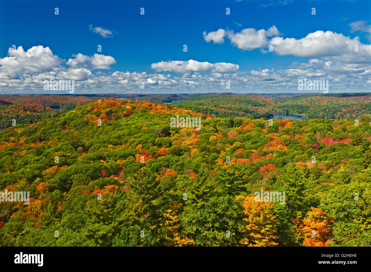Great lakes st lawrence forest hi-res stock photography and images - Alamy