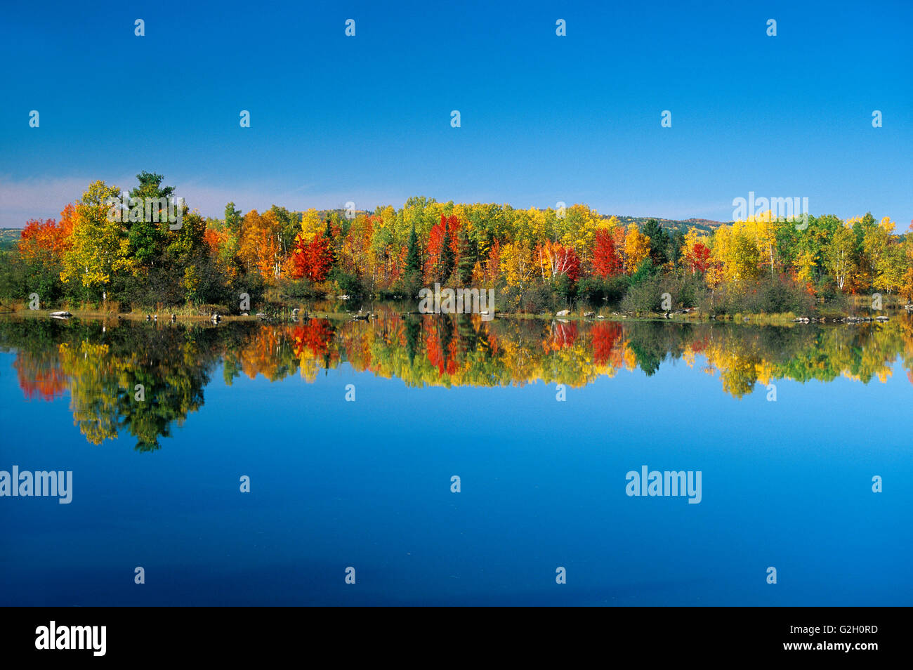 Autumn tree reflections in river hi-res stock photography and images ...