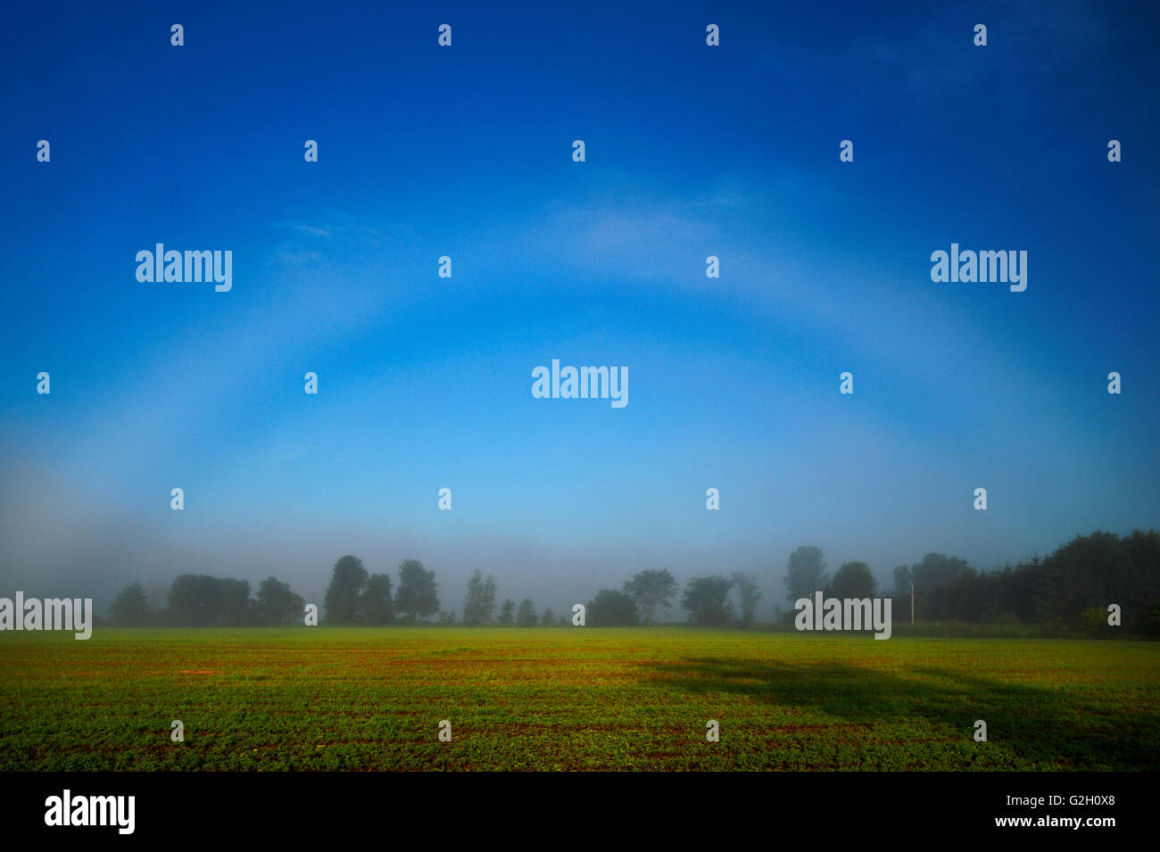 Fogbow or white Bourget Ontario Canada Stock Photo - Alamy
