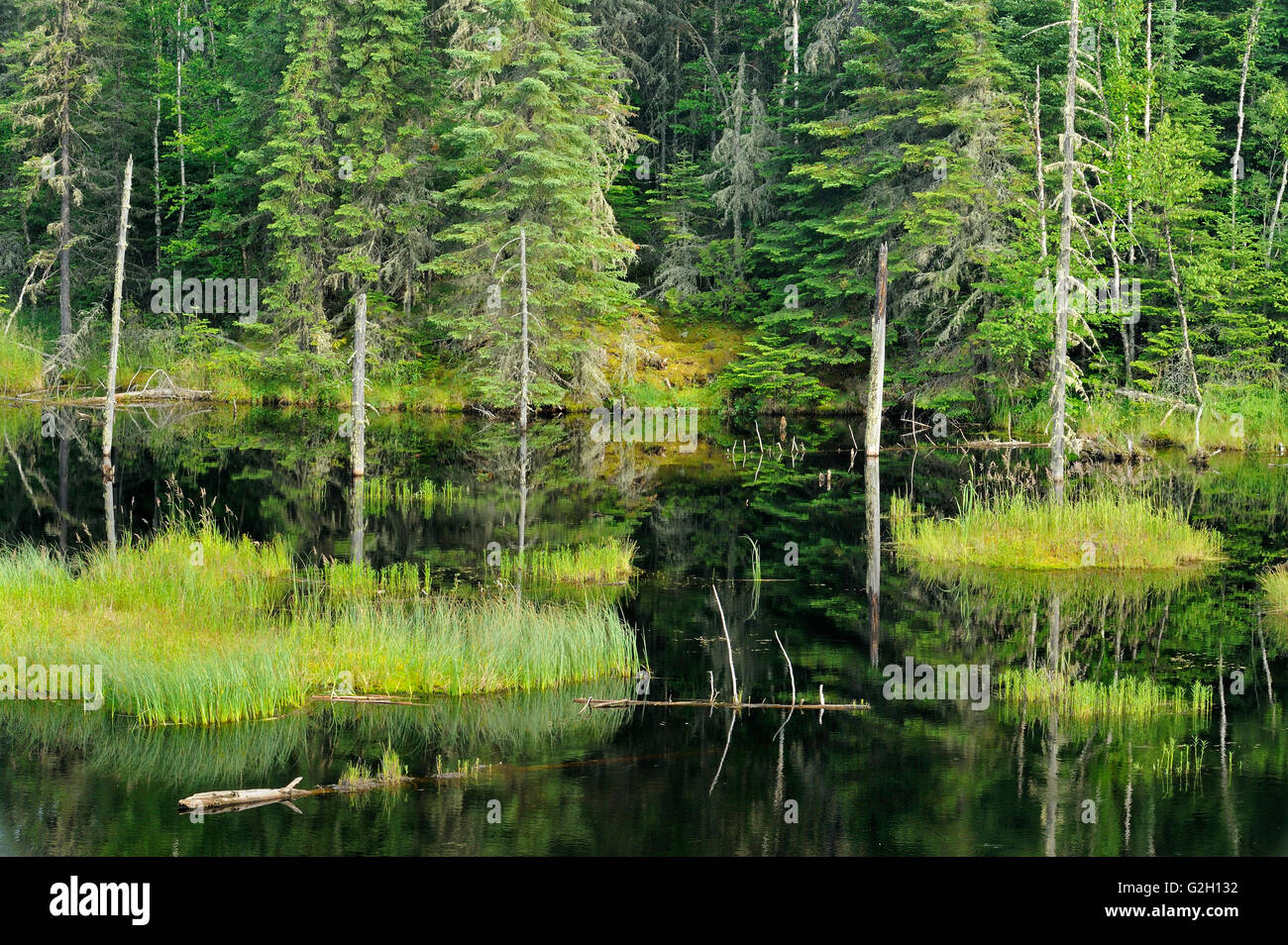 Savant lake hi-res stock photography and images - Alamy