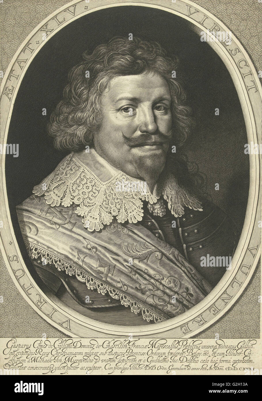 Portrait of Gaspard de Coligny, Duke of Châtillon at the age of 45 ...