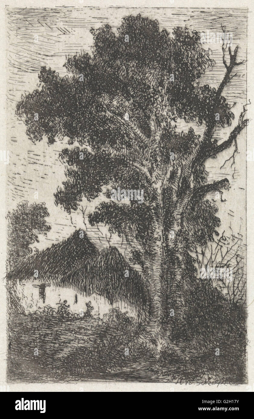 Big tree huts hi-res stock photography and images - Alamy