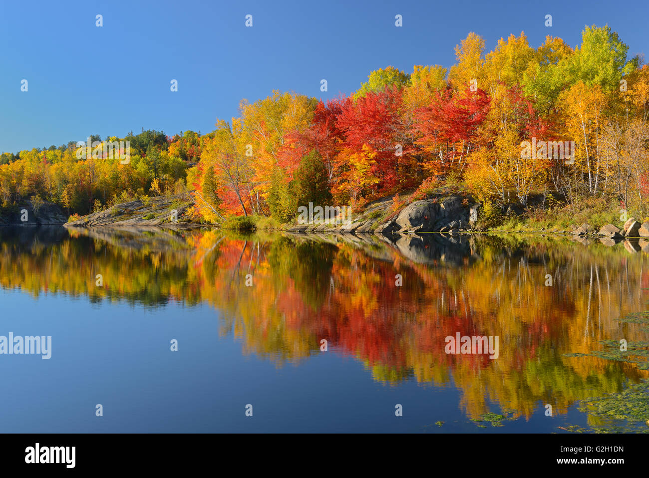 Reflection in Simon Lake. Simon Lake Park Conservation Area. Naughton ...