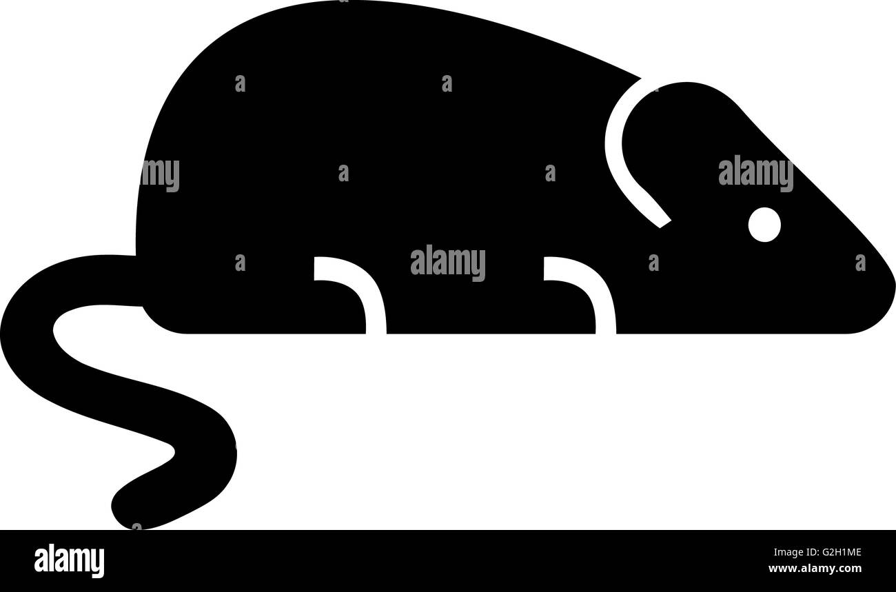 Mouse like rodent Black and White Stock Photos & Images - Alamy