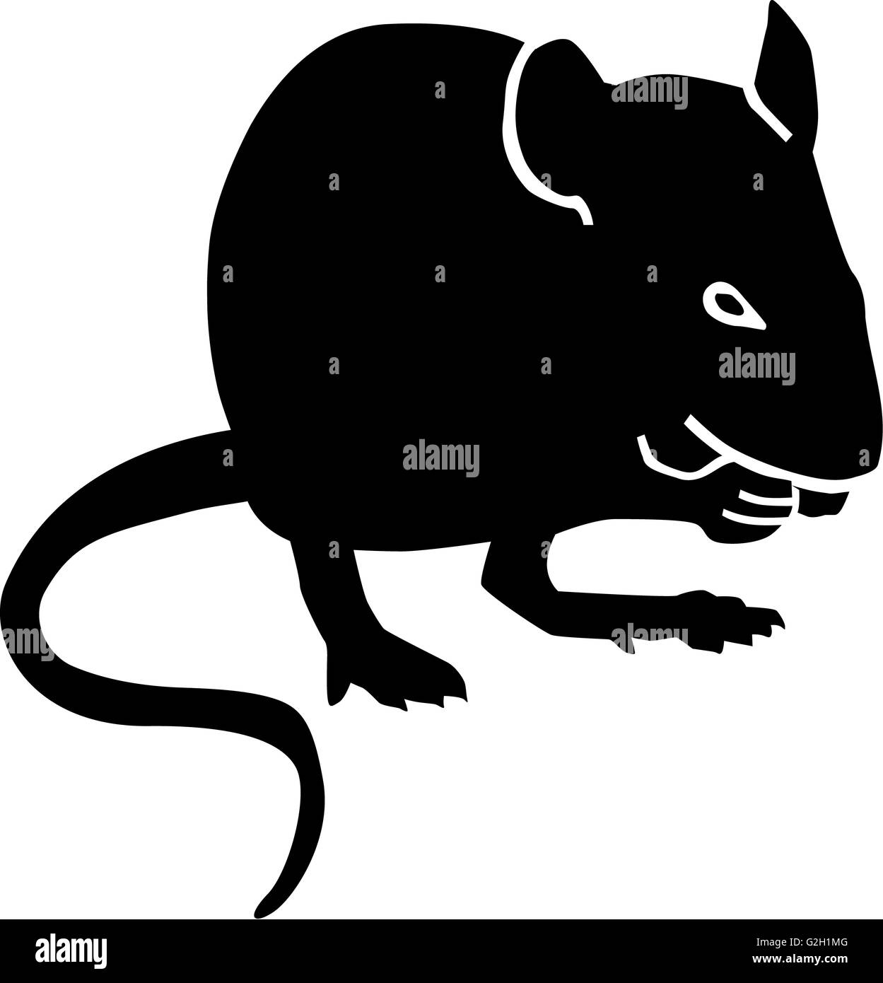 Mouse real eating Stock Photo - Alamy