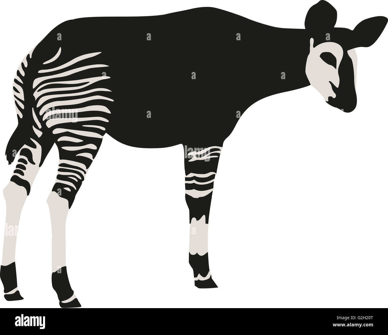 Illustration okapi hi-res stock photography and images - Alamy