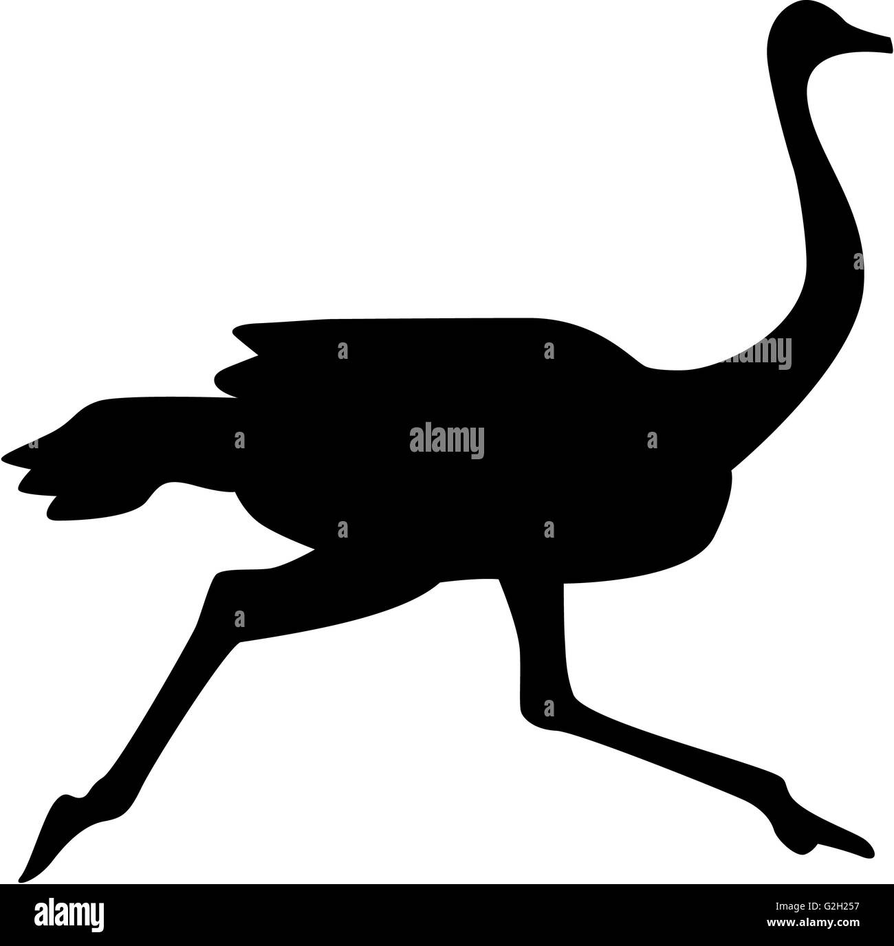 Ostrich logo Black and White Stock Photos & Images - Alamy