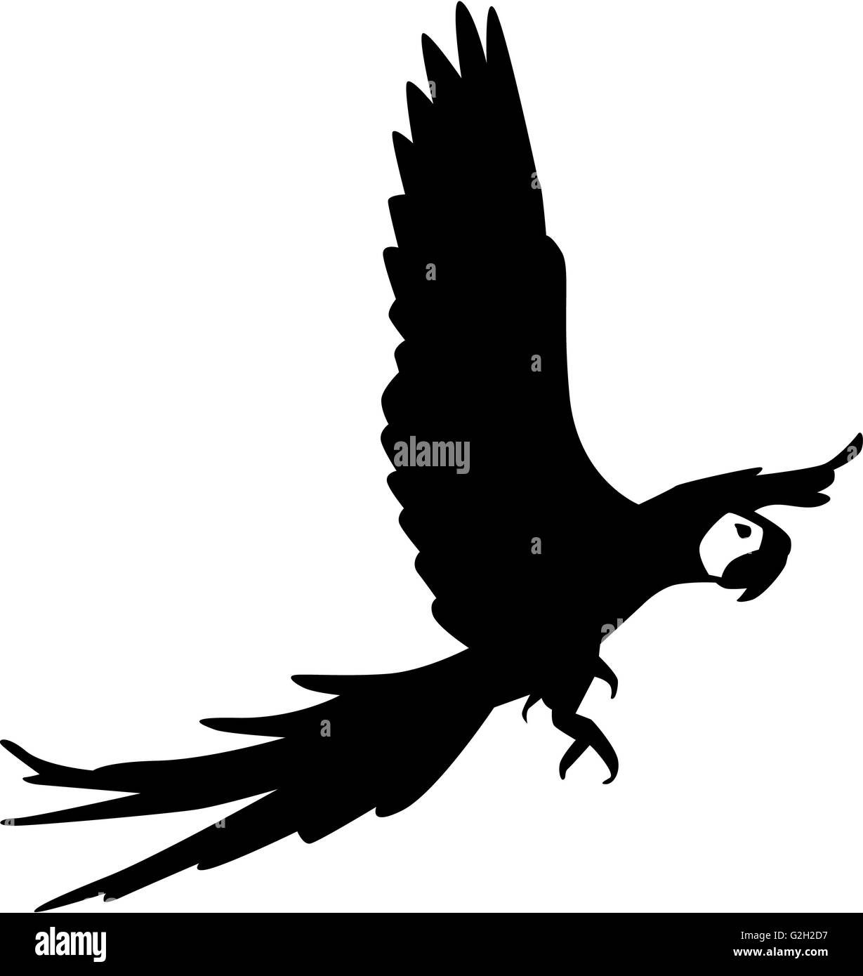 Parrot exotic Black and White Stock Photos & Images - Alamy