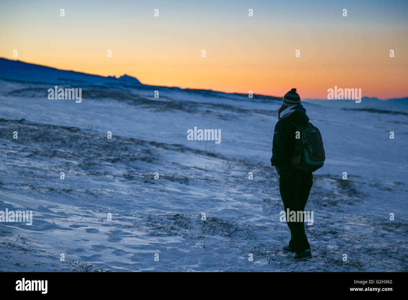 Frozen landscape alone Stock Photo - Alamy
