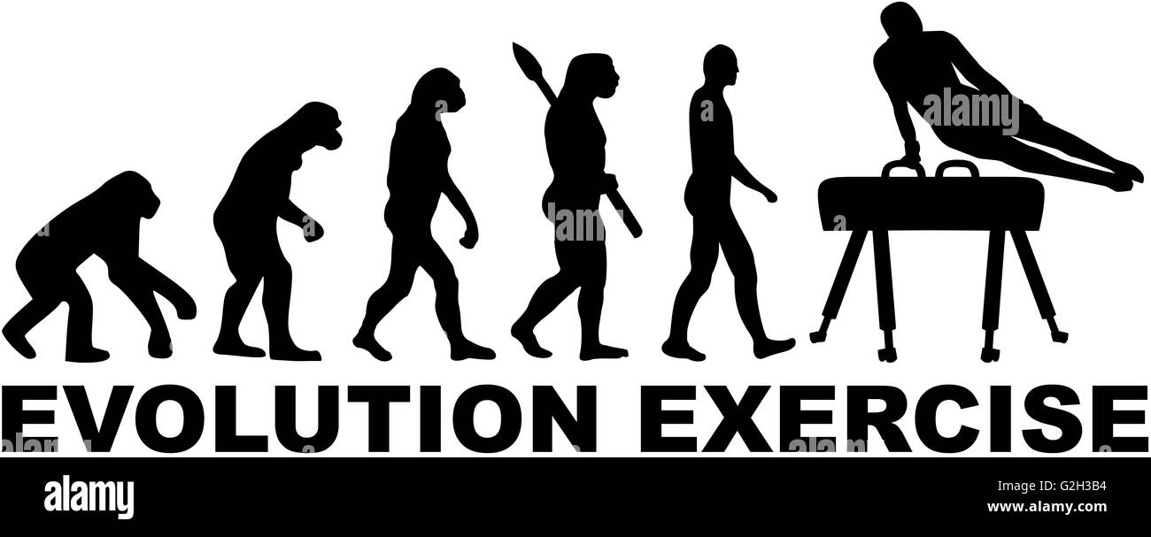 Evolution of the horse vector hi-res stock photography and images - Alamy