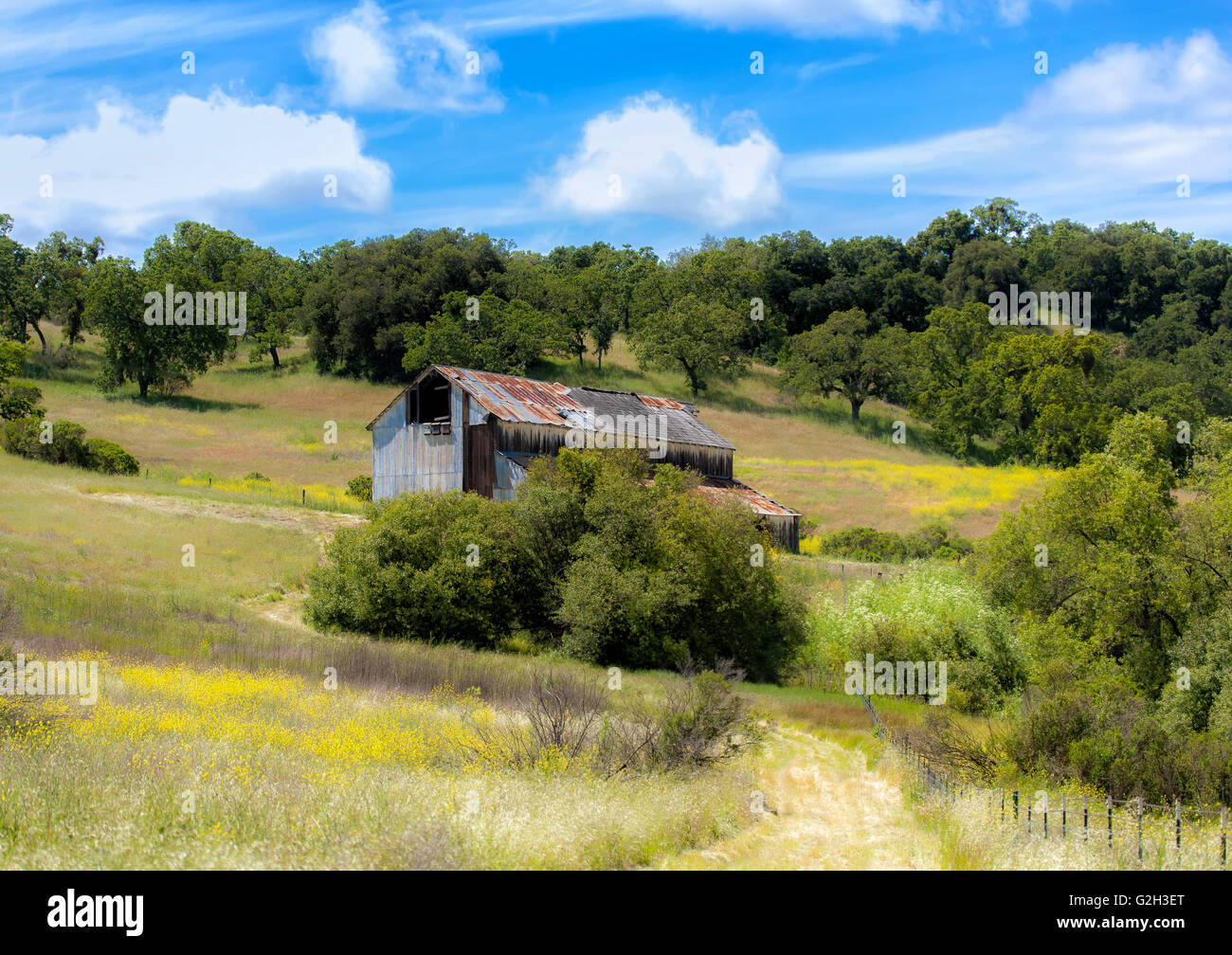 Taken at Gran Ranch on a spring day. Grant Ranch is located a few miles ...