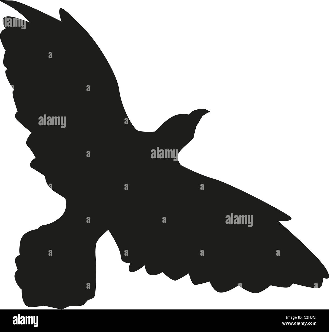 Raven symbol hi-res stock photography and images - Alamy