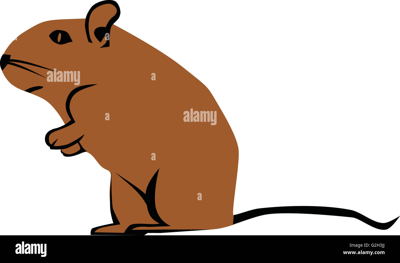 Brown Mouse sitting Stock Photo - Alamy