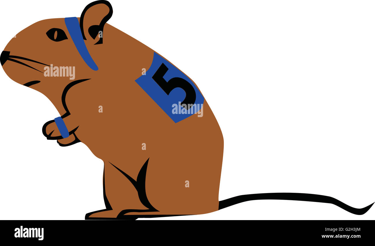 Gerbil logo vector hi-res stock photography and images - Alamy
