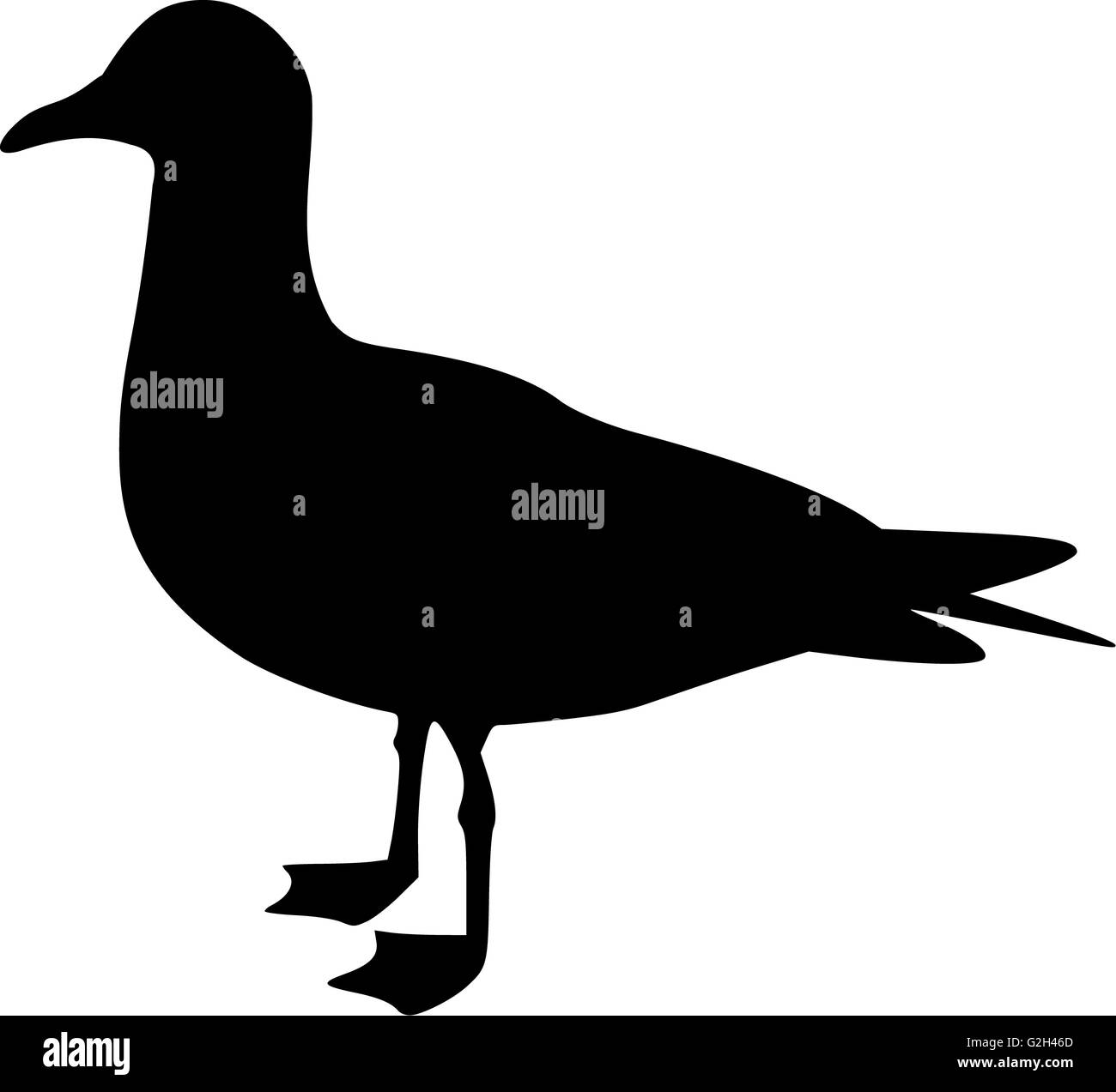 Gliding seagull Cut Out Stock Images & Pictures - Alamy