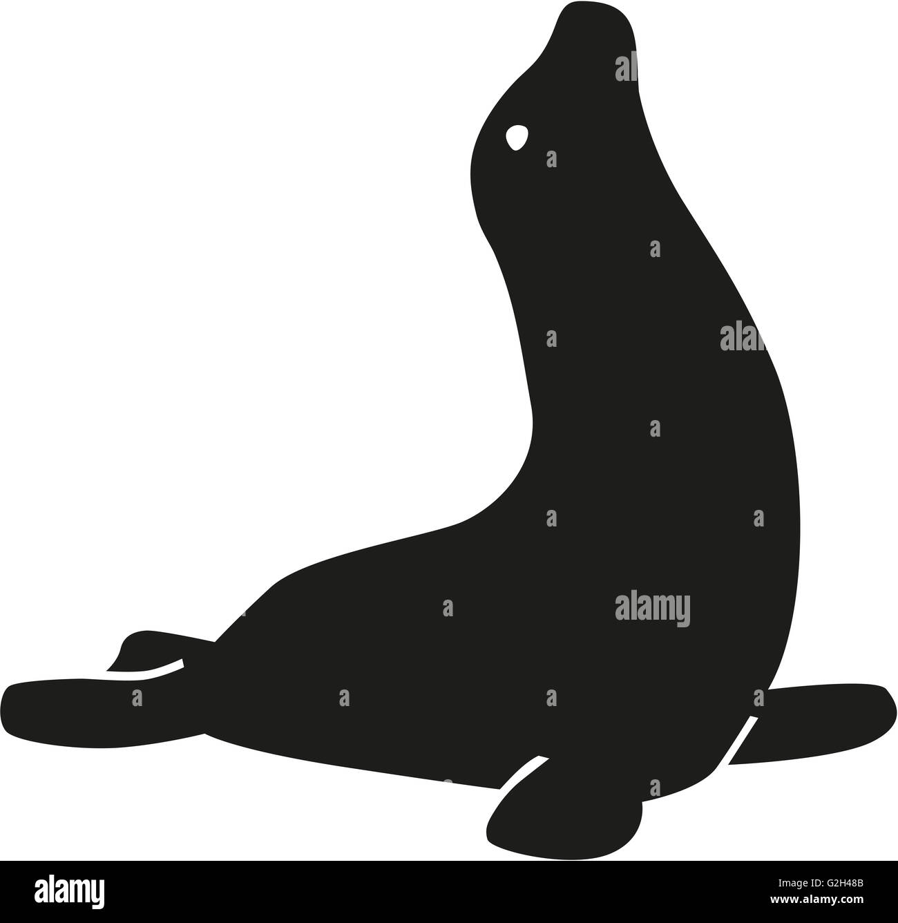 Sea pinniped mammal animal seal Cut Out Stock Images & Pictures - Alamy