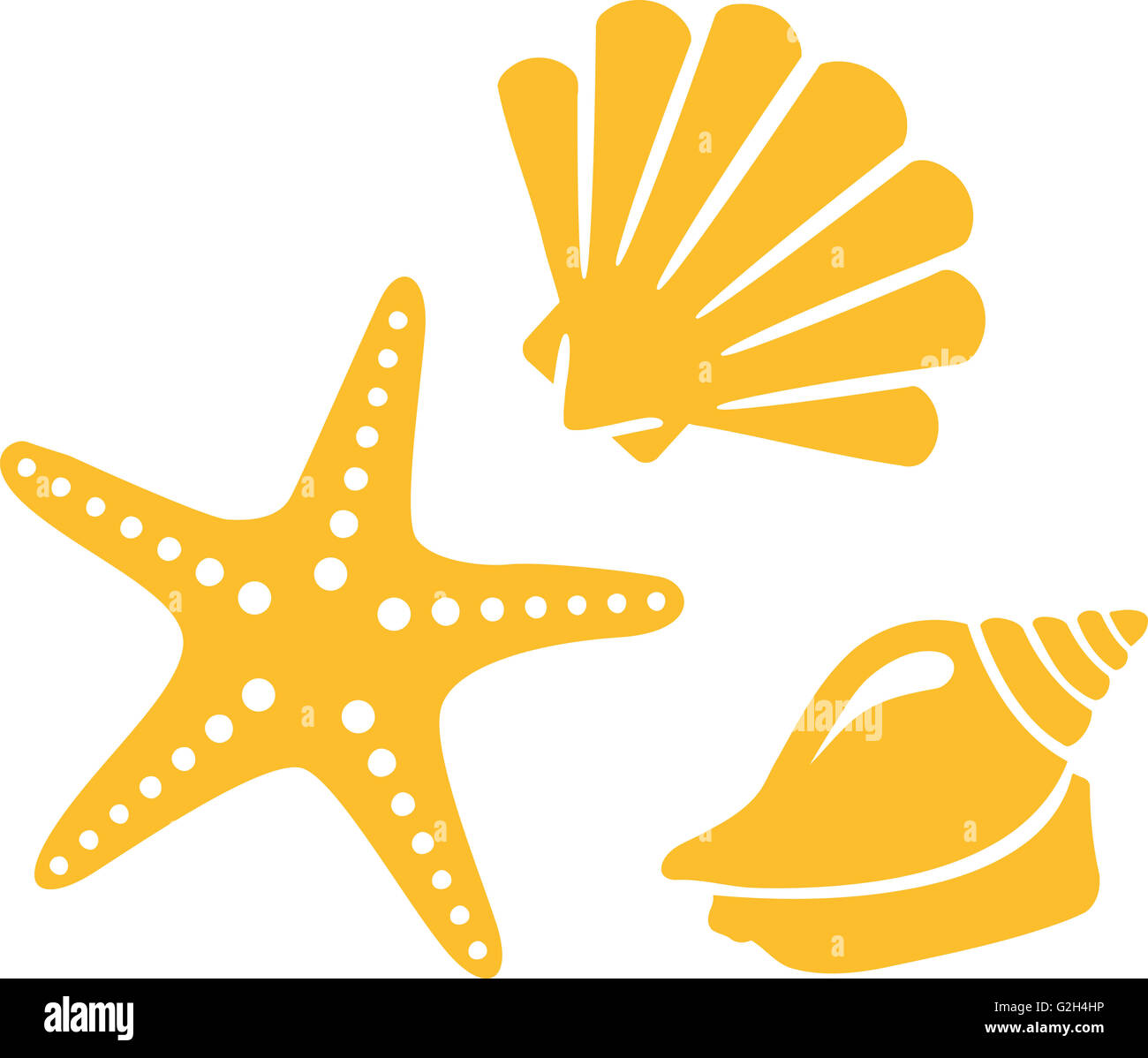 Shell snail star beach Stock Photo - Alamy