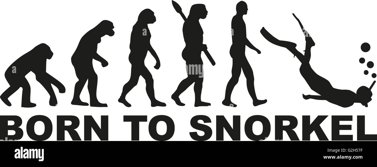 Evolution - born to snorkel Stock Photo - Alamy