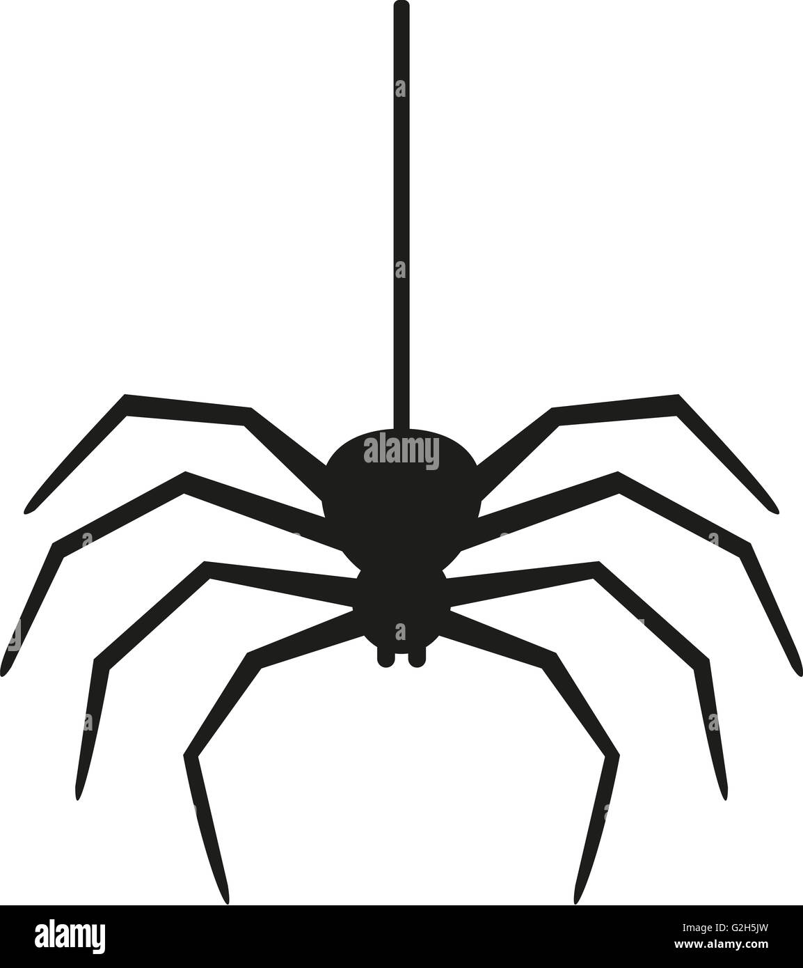 Spider hanging thread hi-res stock photography and images - Alamy