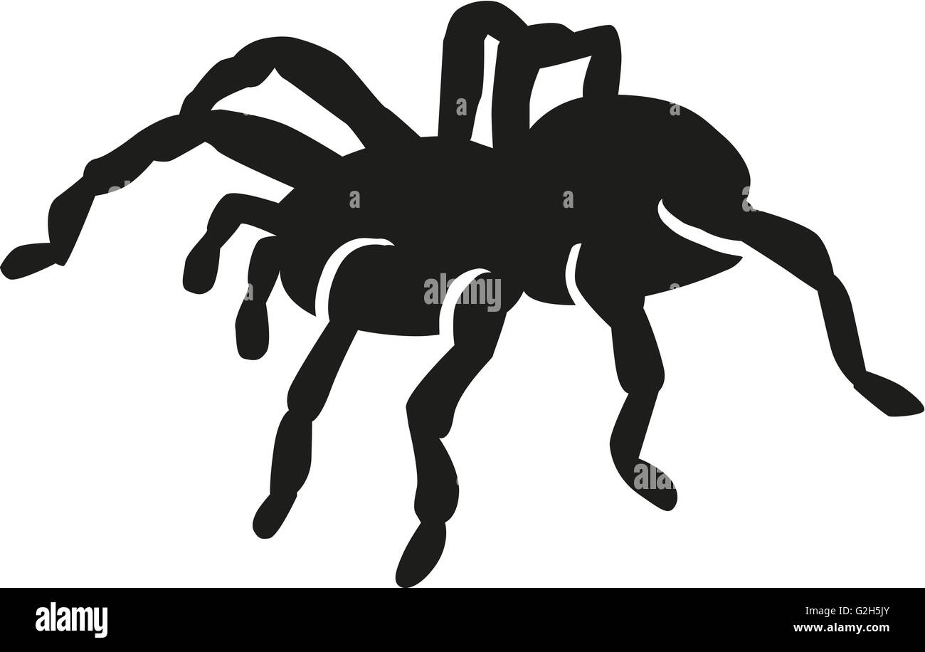 Tarantula silhouette hi-res stock photography and images - Alamy