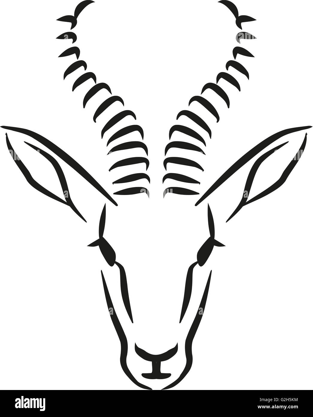 Springbok running Cut Out Stock Images & Pictures - Alamy