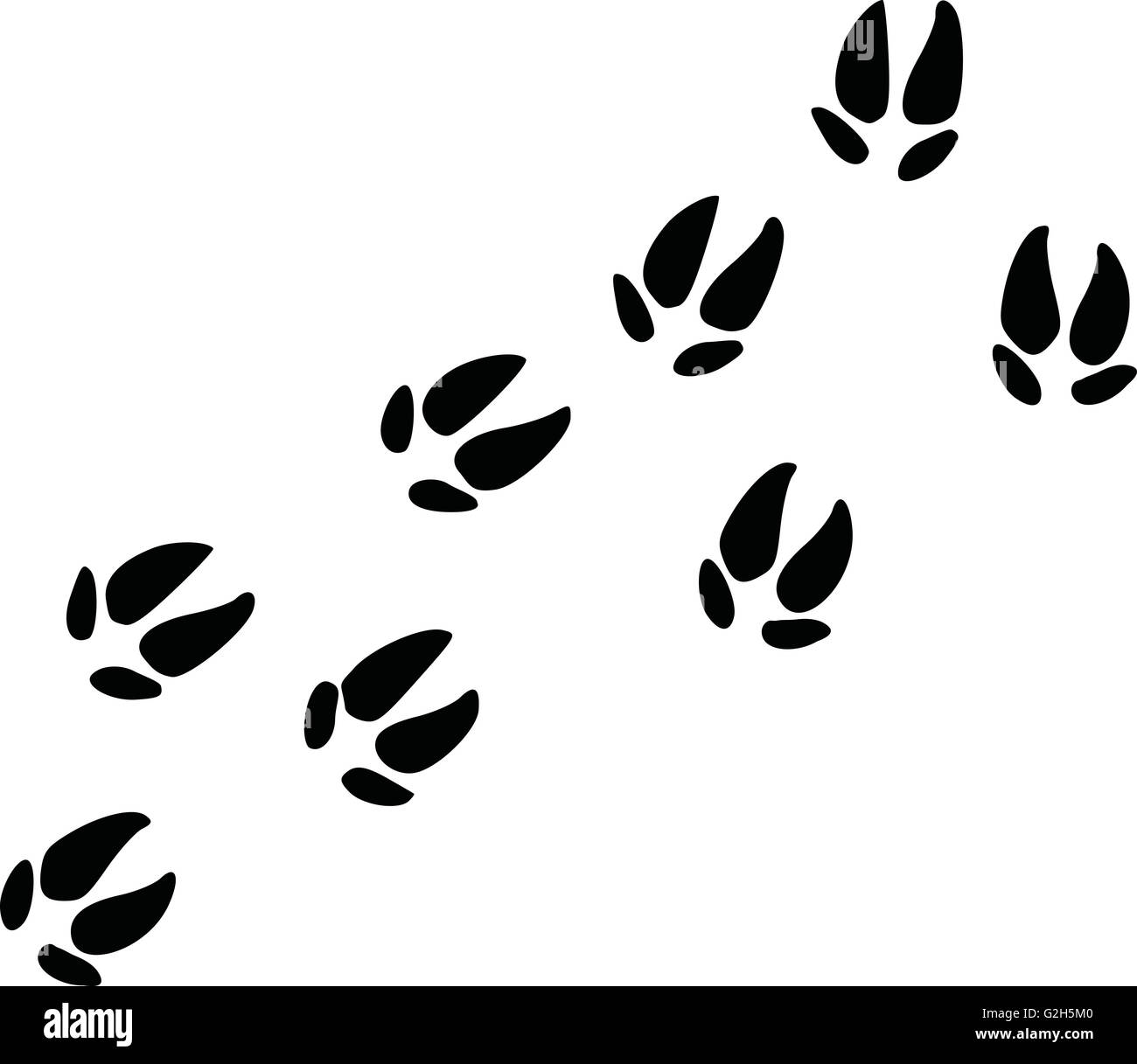 Wild boar tracks Cut Out Stock Images & Pictures - Alamy