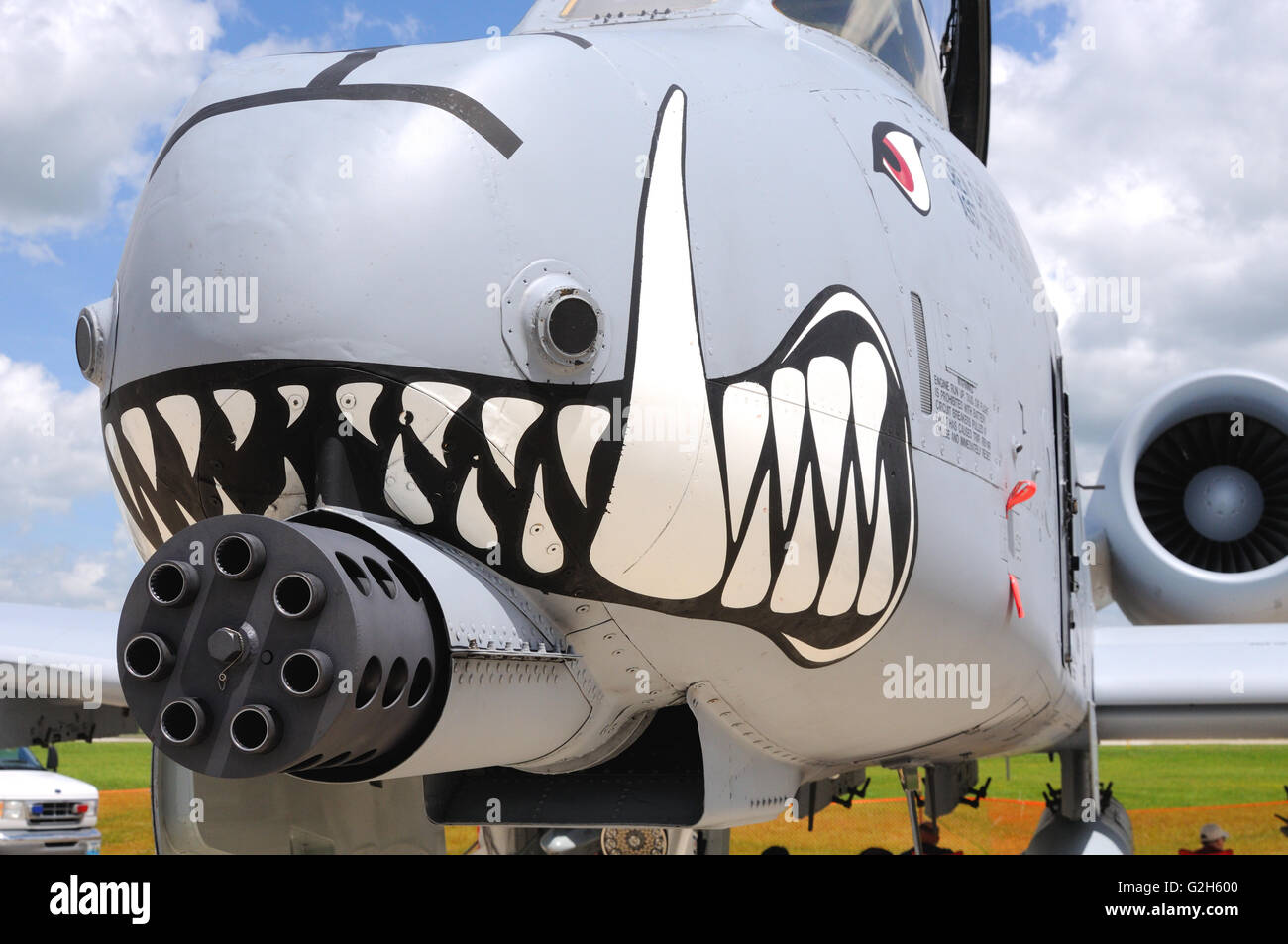 A USA Air Force A-10 Warthog airplane Stock Photo - Alamy