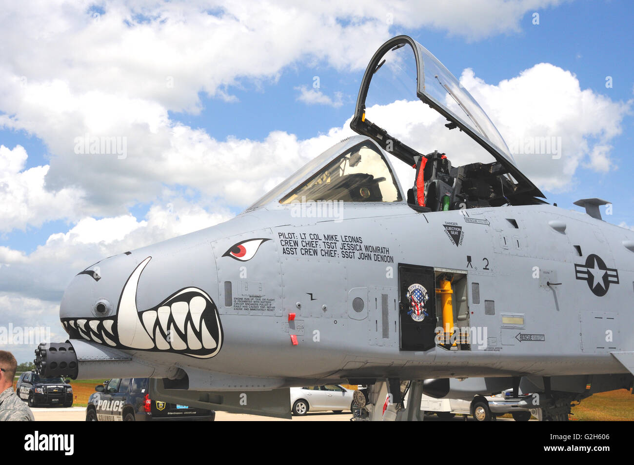 A 10 warthog hi-res stock photography and images - Alamy