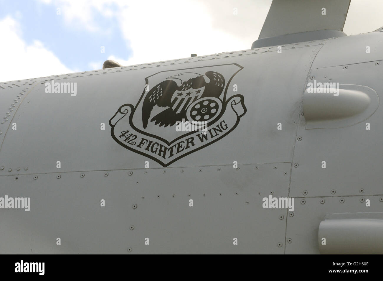 442nd Fighter Wing, Whiteman Air Force Base logo on the side of an A-10 ...