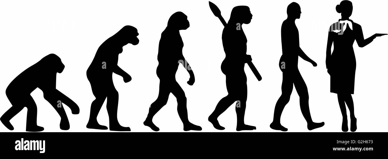 Flight evolution Black and White Stock Photos & Images - Alamy