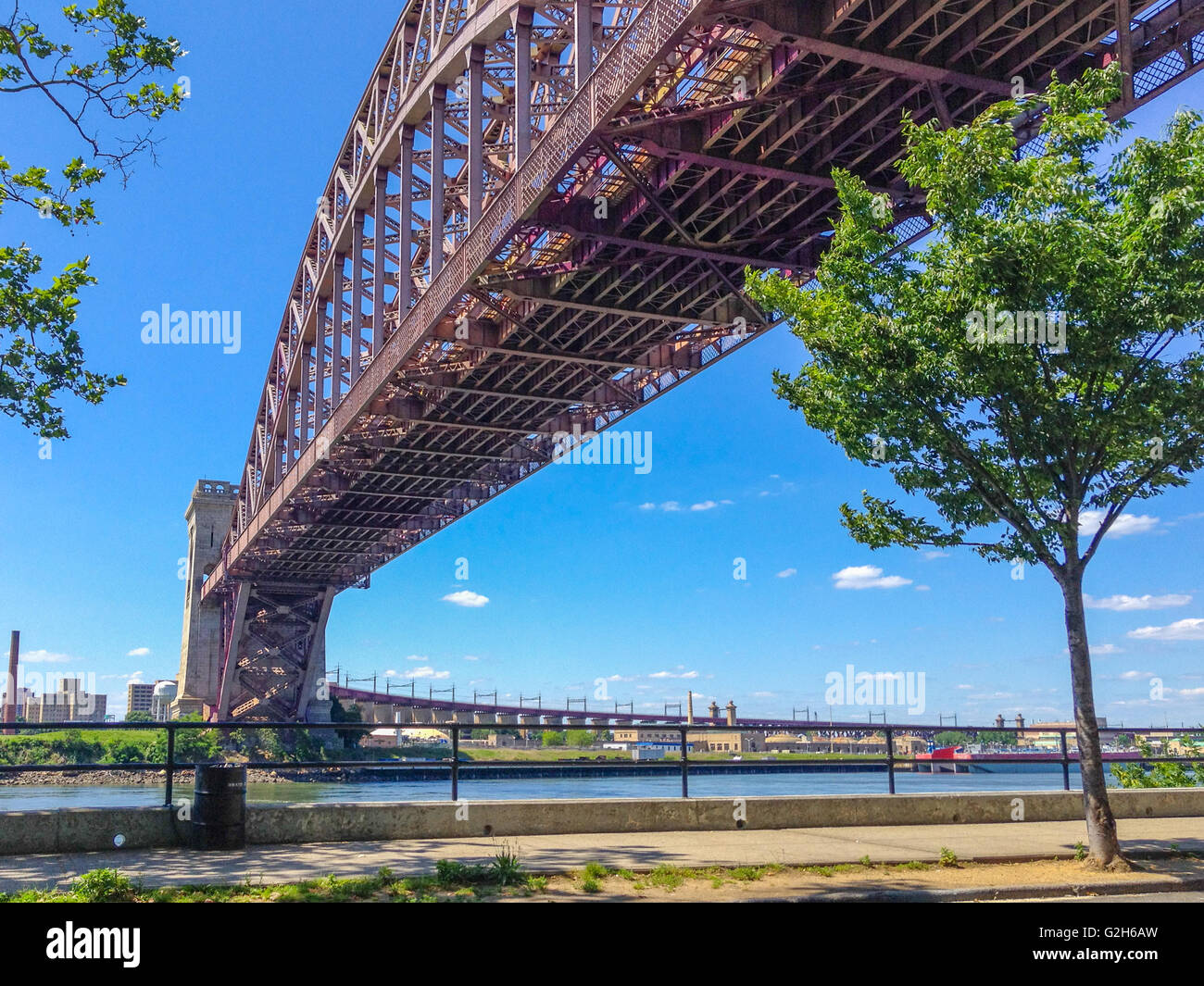 Railroad with trees High Resolution Stock Photography and Images - Alamy