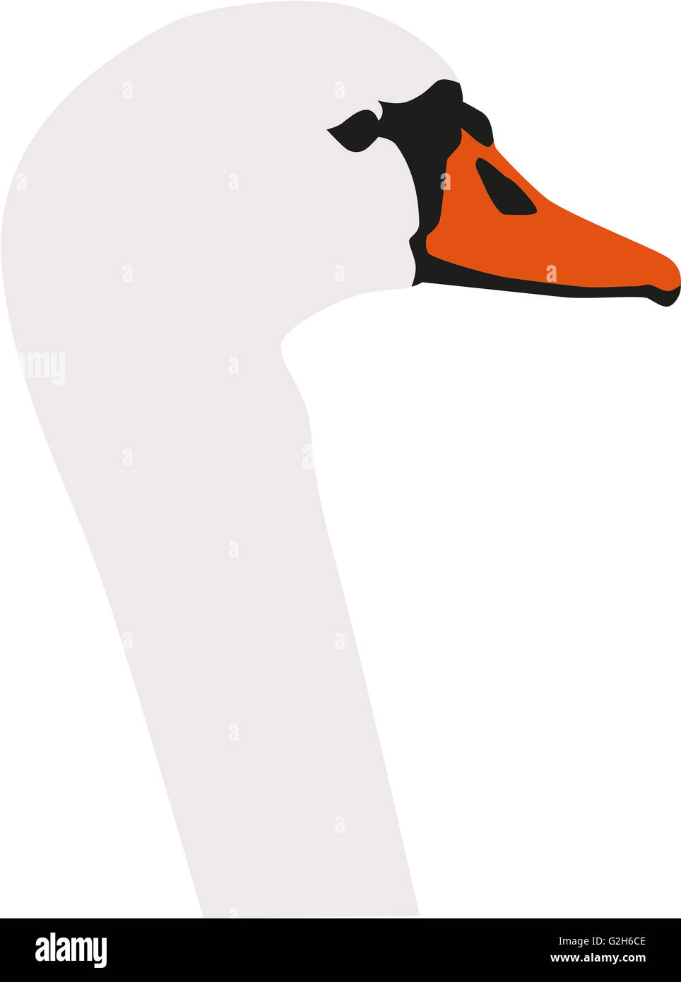 Realistic swan head Stock Photo - Alamy