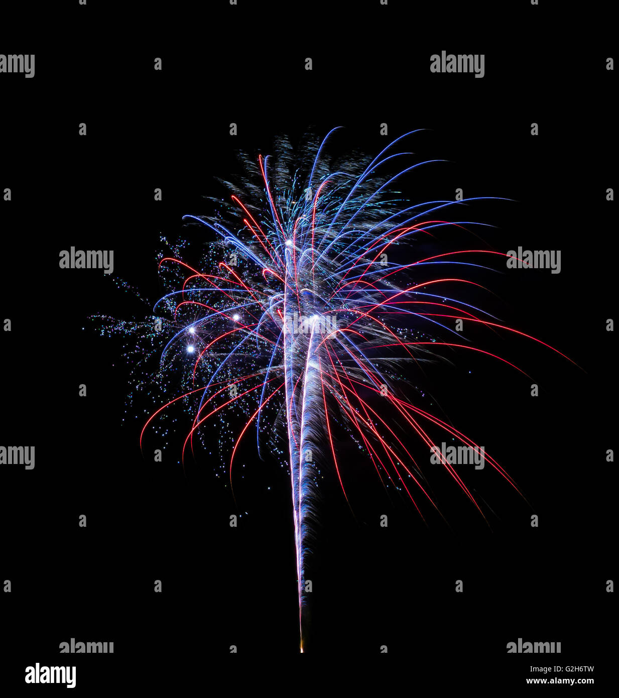 Single Firework White Background