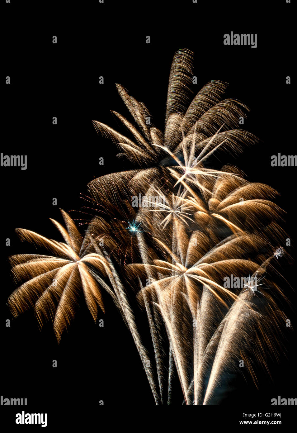 A single golden fireworks in colorful shades of orange, white and ...