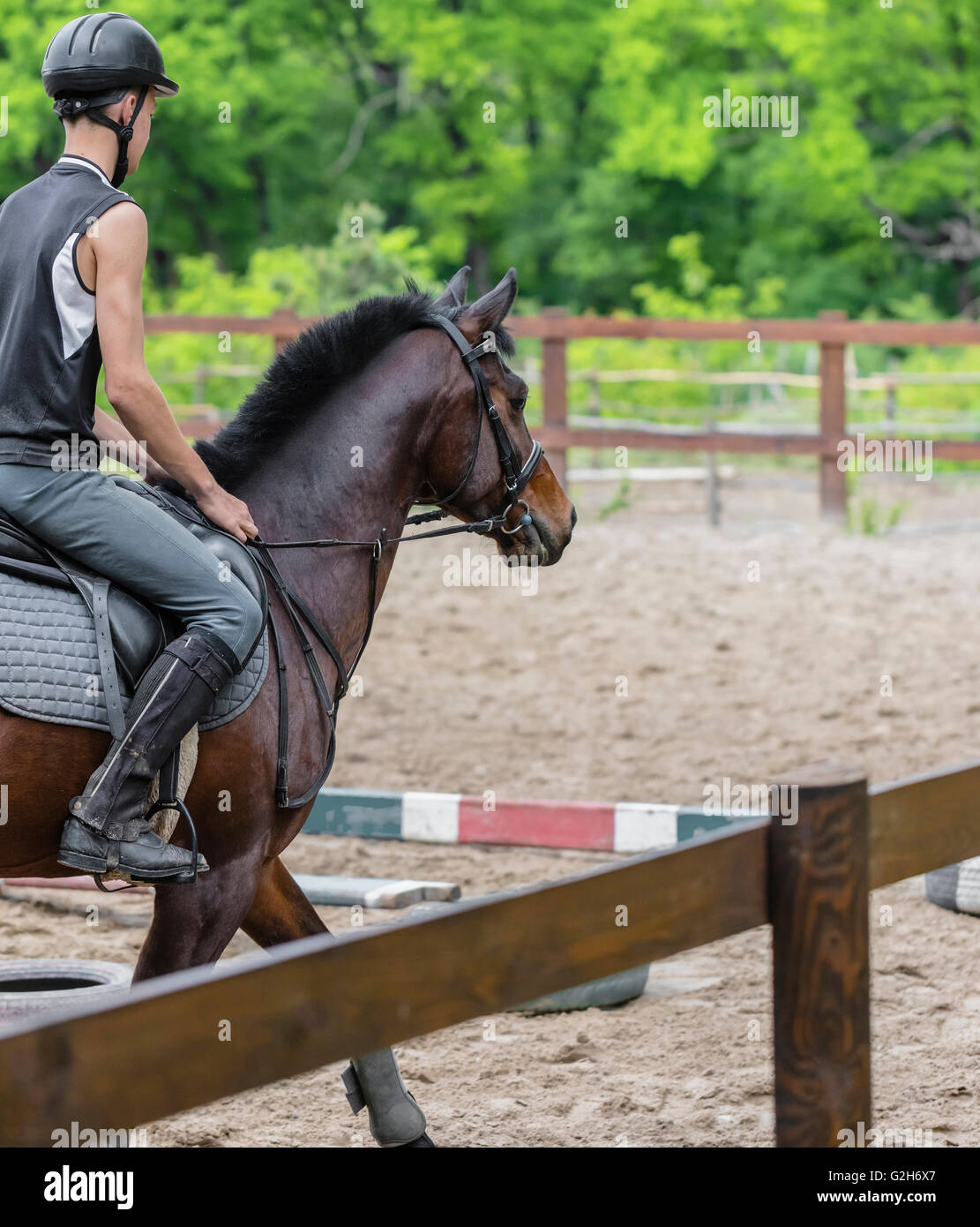 male athlete rides on horse, exercise outdoors Stock Photo - Alamy
