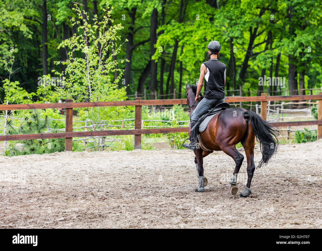 male athlete rides on horse, exercise outdoors Stock Photo - Alamy