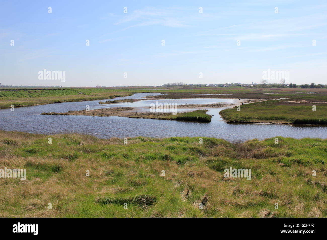 Walberswick National Nature Reserve Suffolk England UK Stock Photo - Alamy