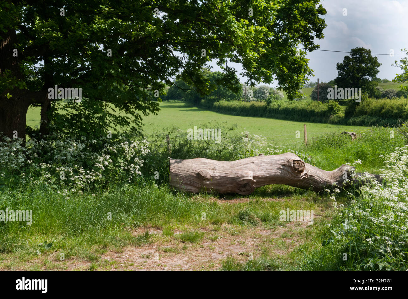 Restful scene hi-res stock photography and images - Alamy
