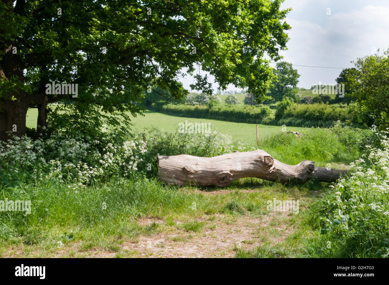 Beauty scene romantic hi-res stock photography and images - Alamy