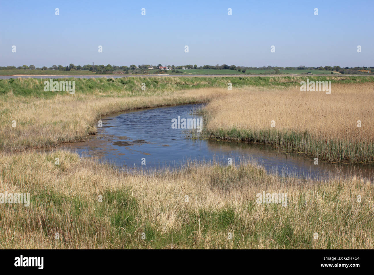 Walberswick National Nature Reserve Suffolk England UK Stock Photo - Alamy