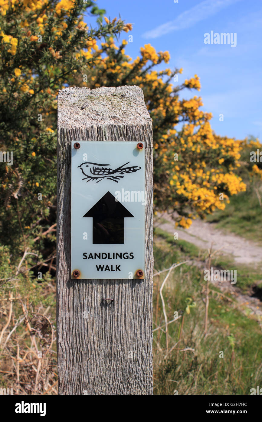Sandlings walk hi-res stock photography and images - Alamy