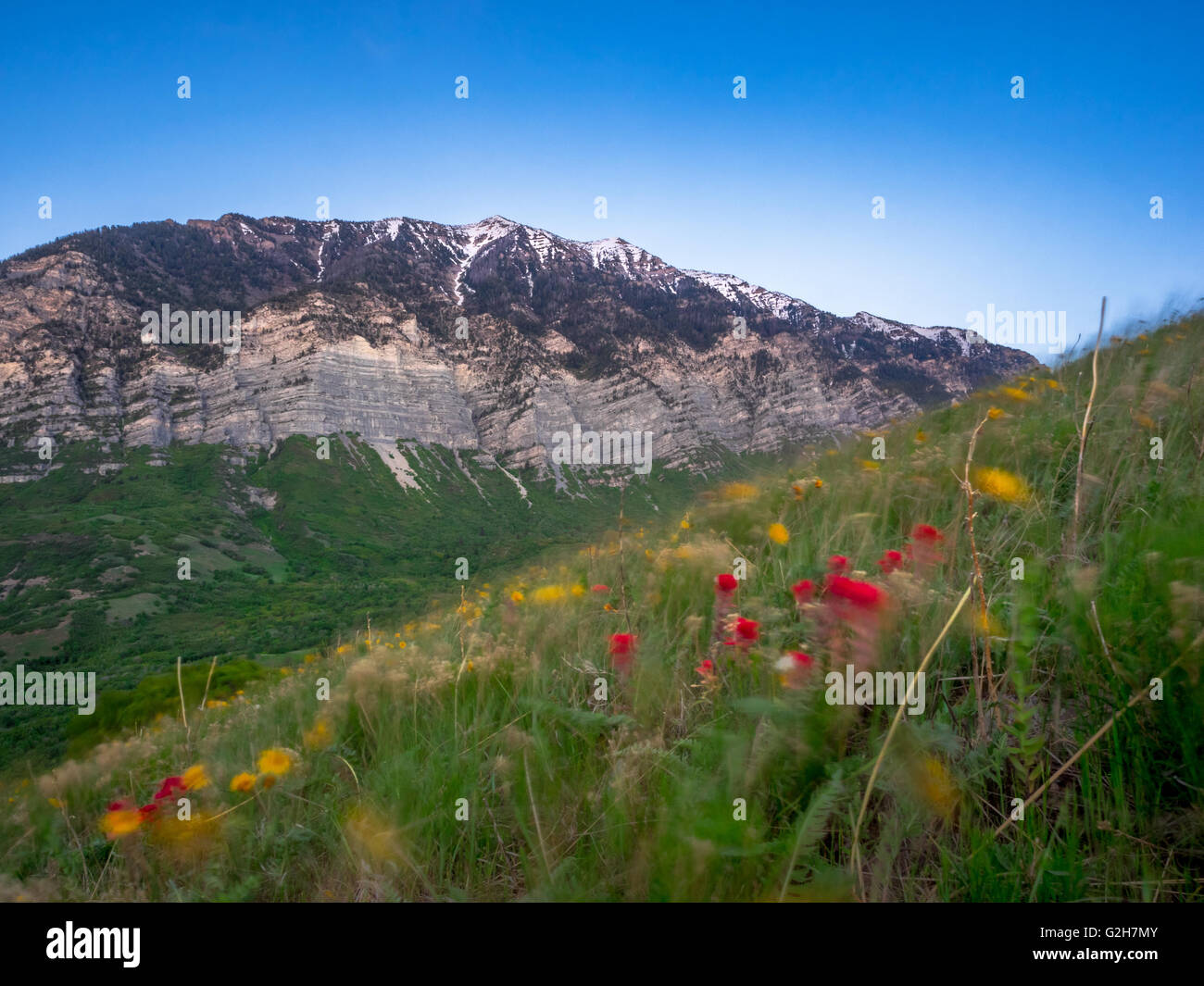 Wasatch Mountain range, Squaw Peak road in Provo canyon Stock Photo - Alamy