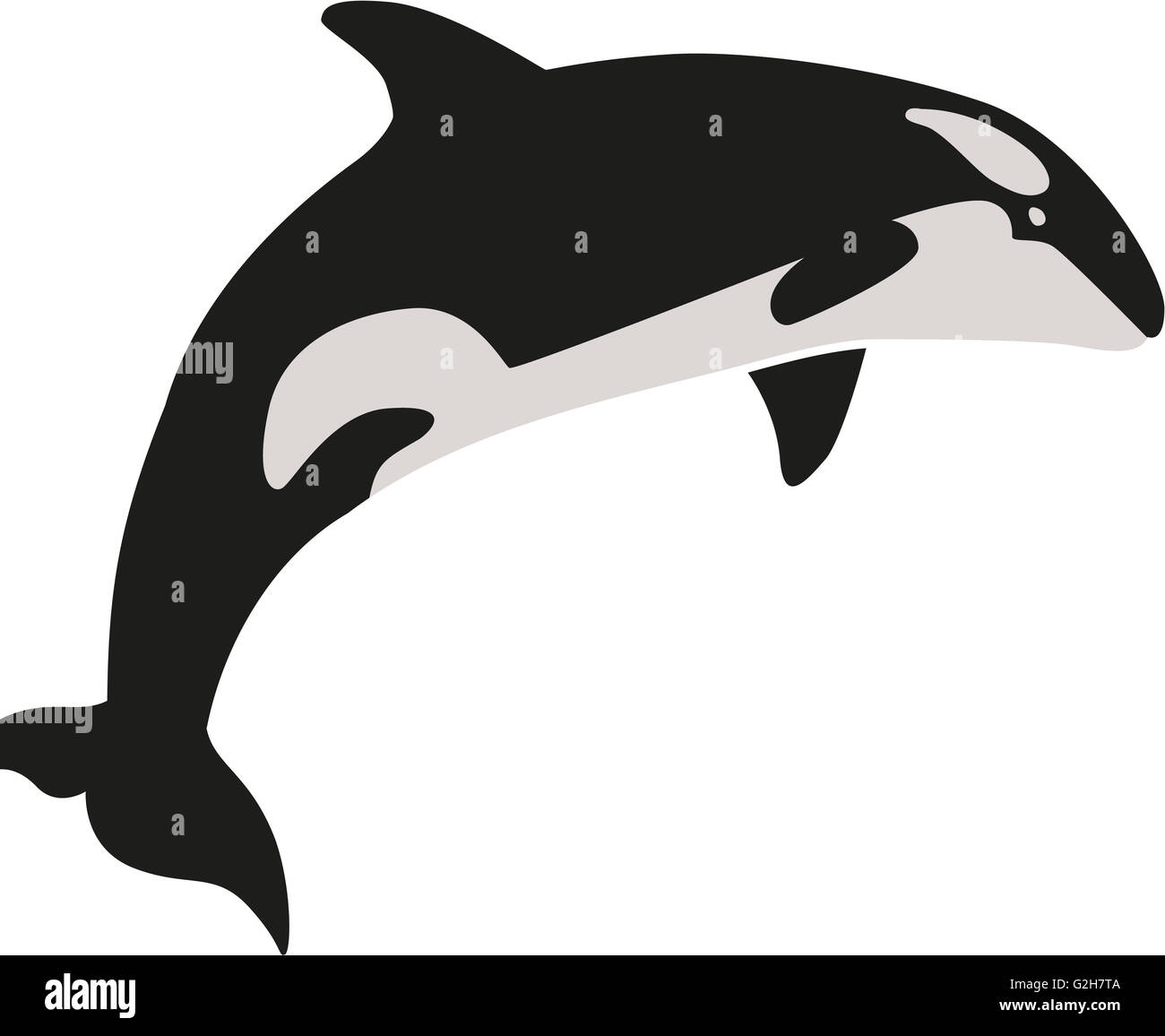 Beautiful orca whale Stock Photo - Alamy