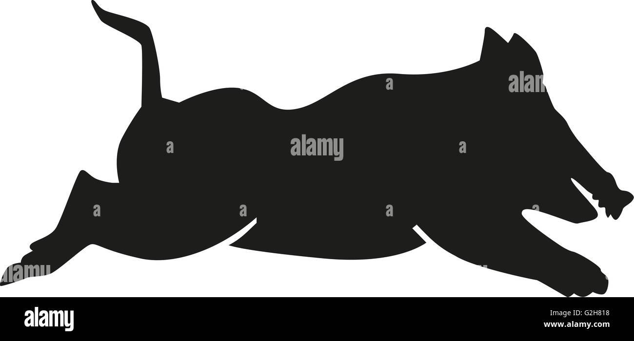 Running wild pig Stock Photo - Alamy